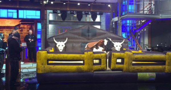 Mechanical Bull Rental NY, NYC, NJ, CT - Clowns4Kids
